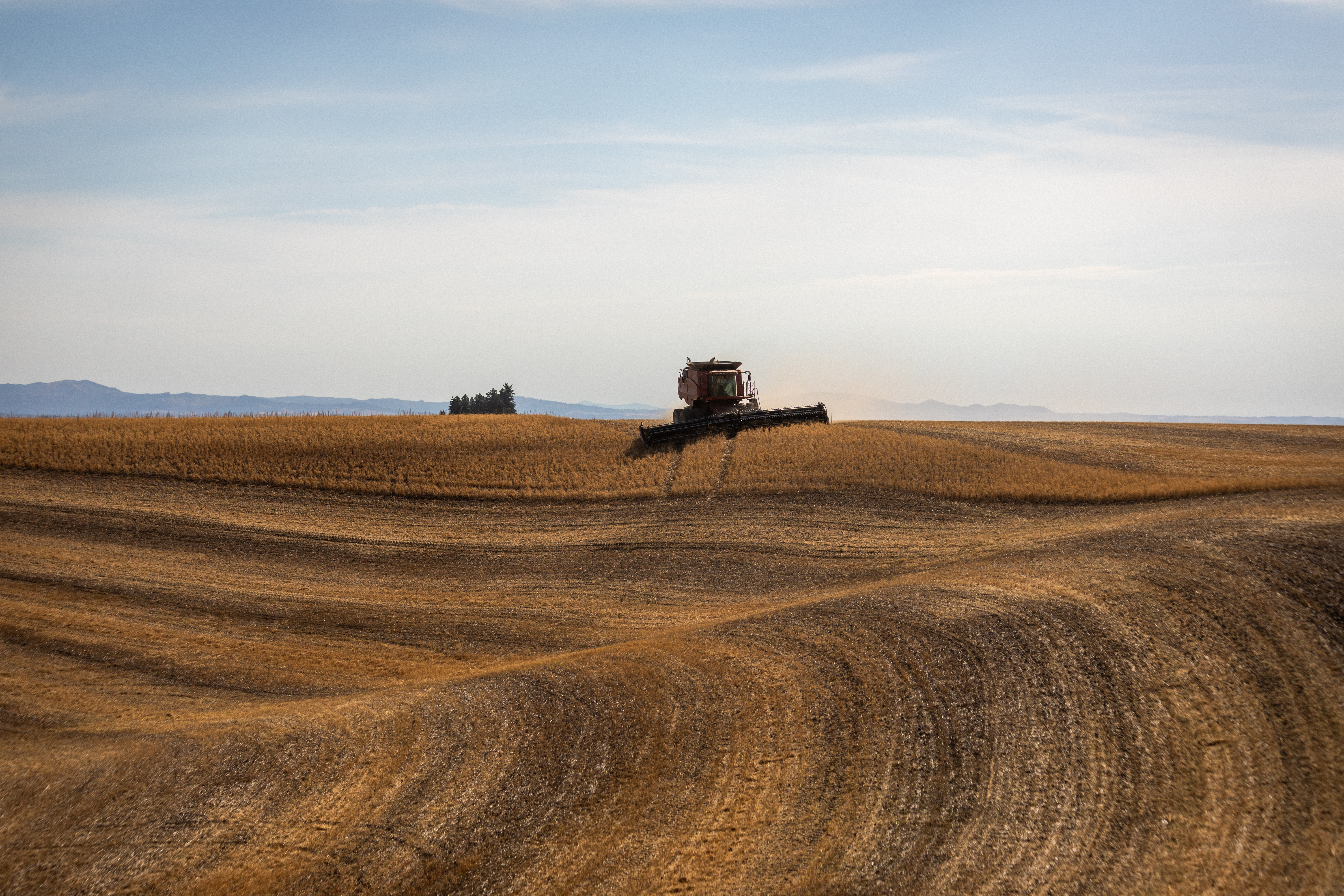 Contour Farming: A Smart Approach to Soil… | Sound Agriculture
