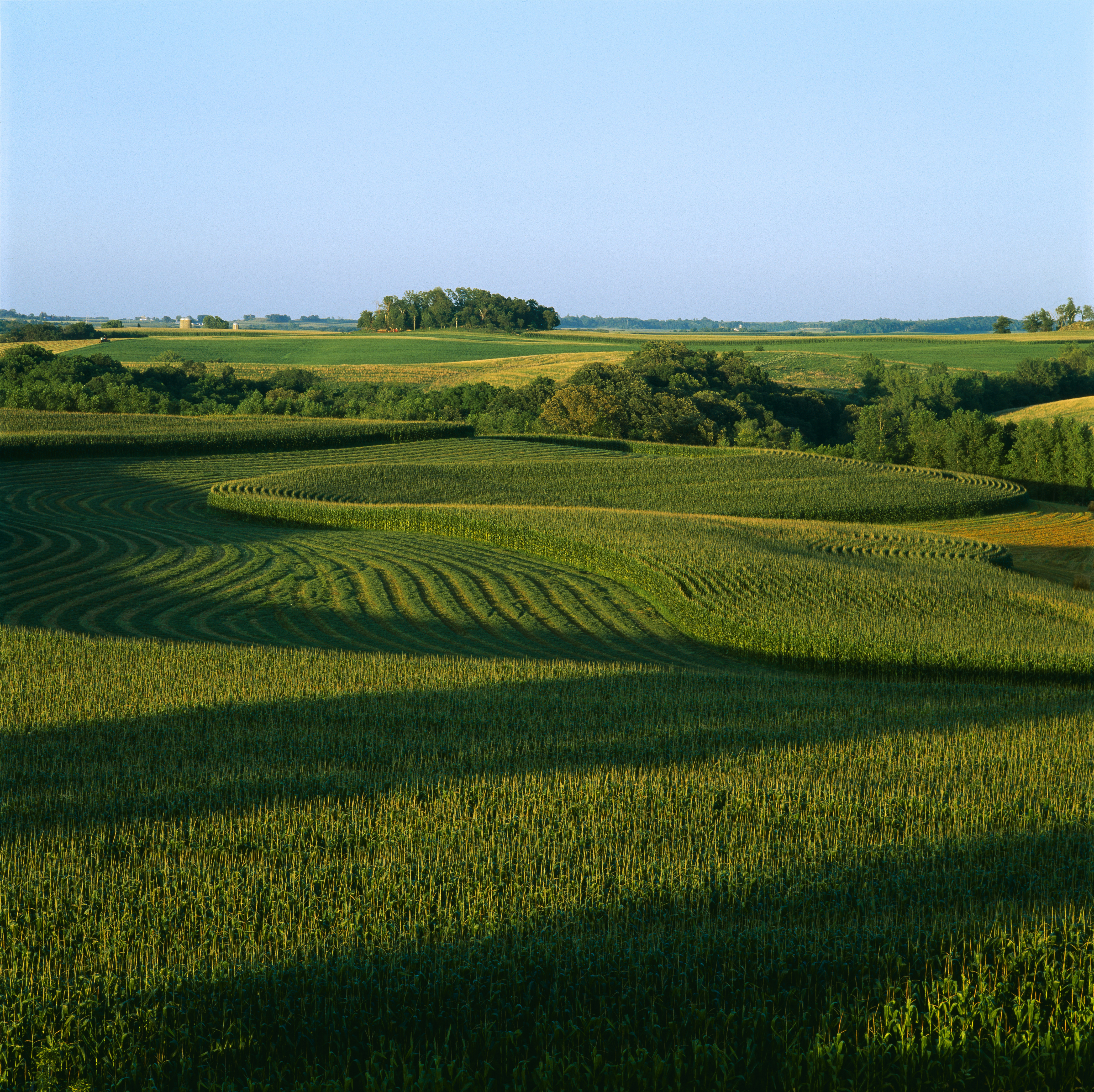 Contour Farming: A Smart Approach to Soil… | Sound Agriculture