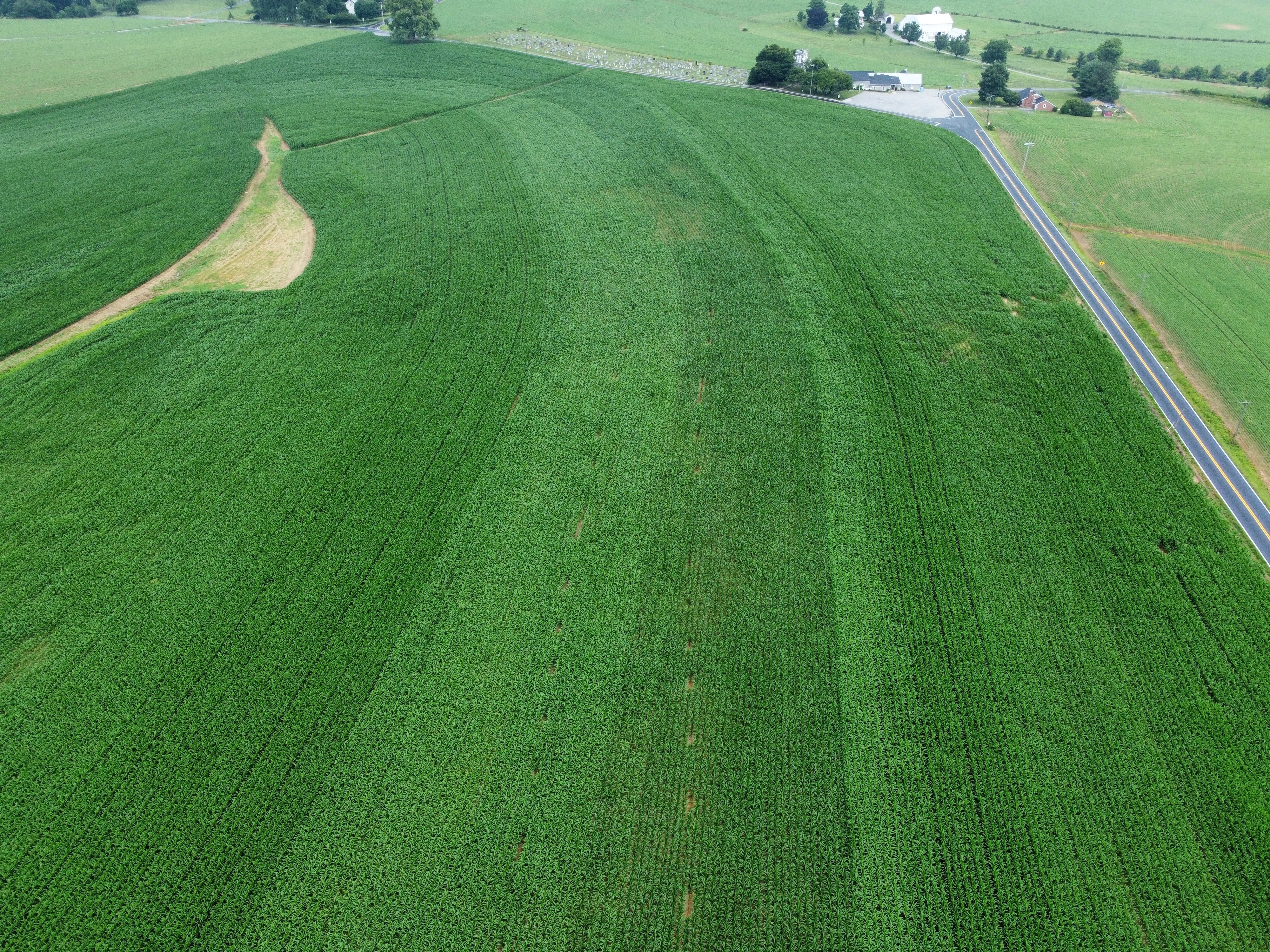 What the Mulder’s Chart Teaches Us About… | Sound Agriculture