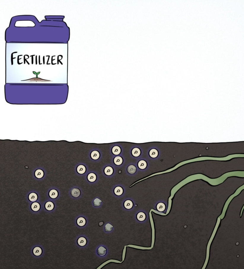 Key to unlocking nutrients & enriching the soil… | Sound Agriculture