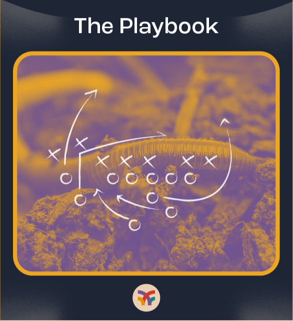 Crop Rotation for No-Till Farming | Sound Agriculture