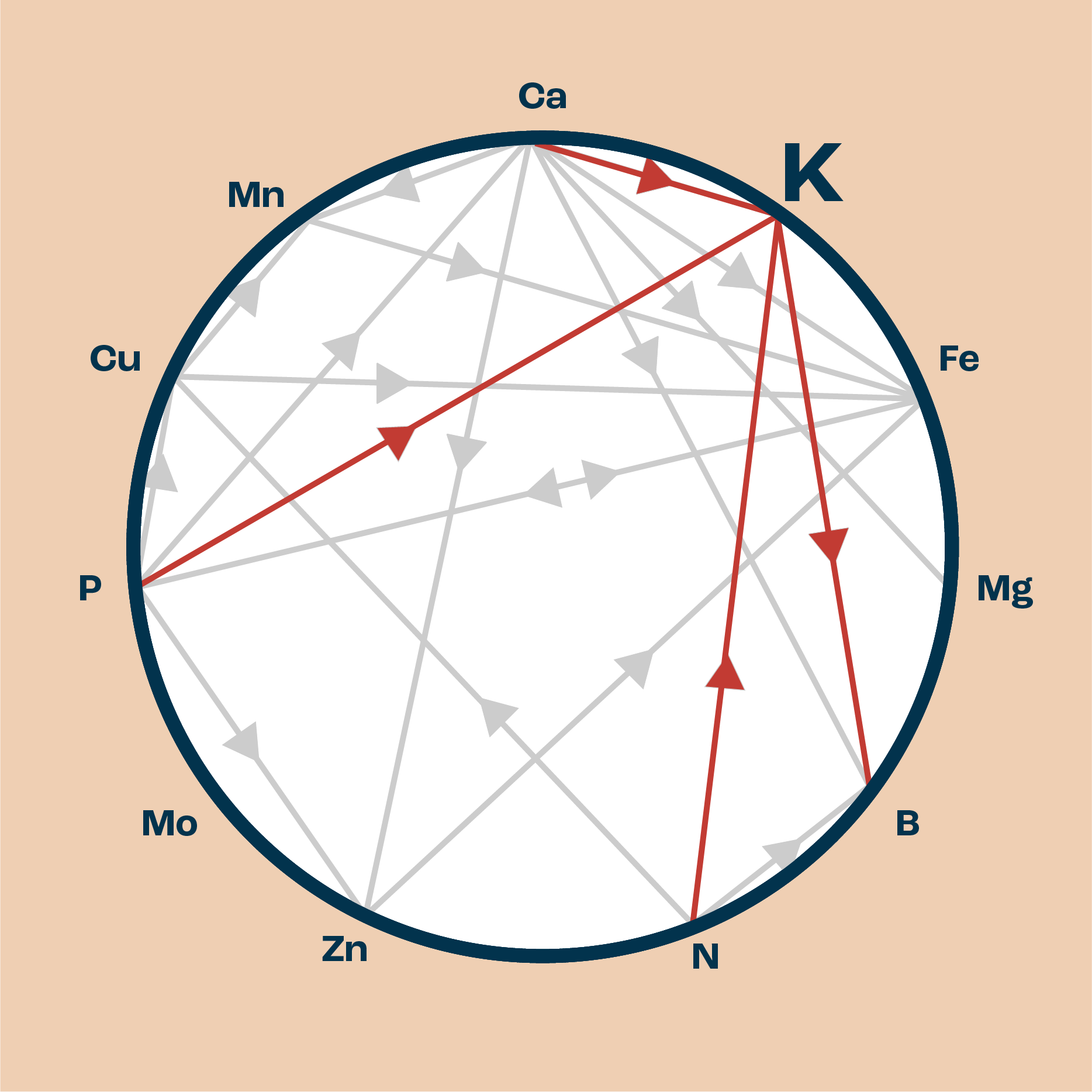 A Fresh Look at Potassium for a Balanced… | Sound Agriculture