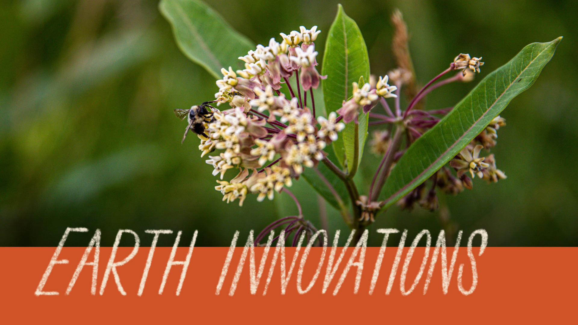 Earth Innovations: Buffer Zones | Sound Agriculture